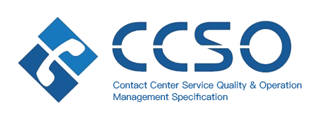 CCSO 评定系统 1.0